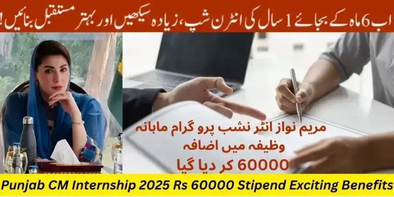 Punjab Hunarmand Scholarship Program 2025 Online Register