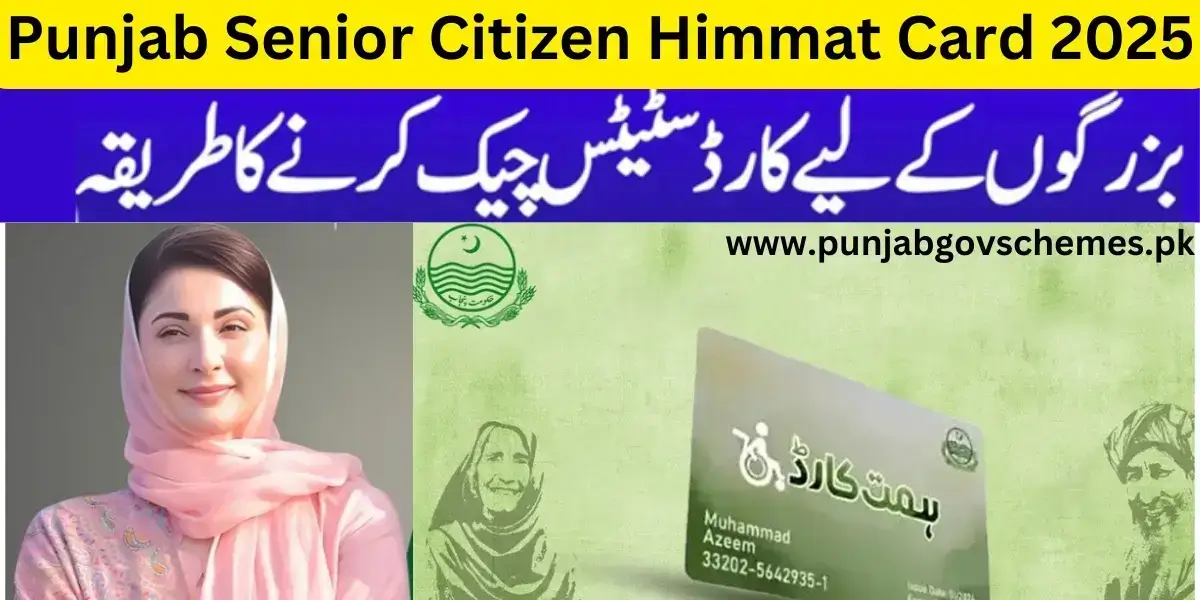 Punjab Senior Citizen Himmat Card 2025: The Ultimate Guide