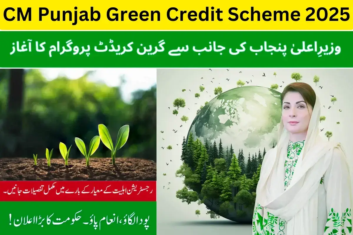 CM Punjab Green Credit Scheme 2025 for Eco Growth