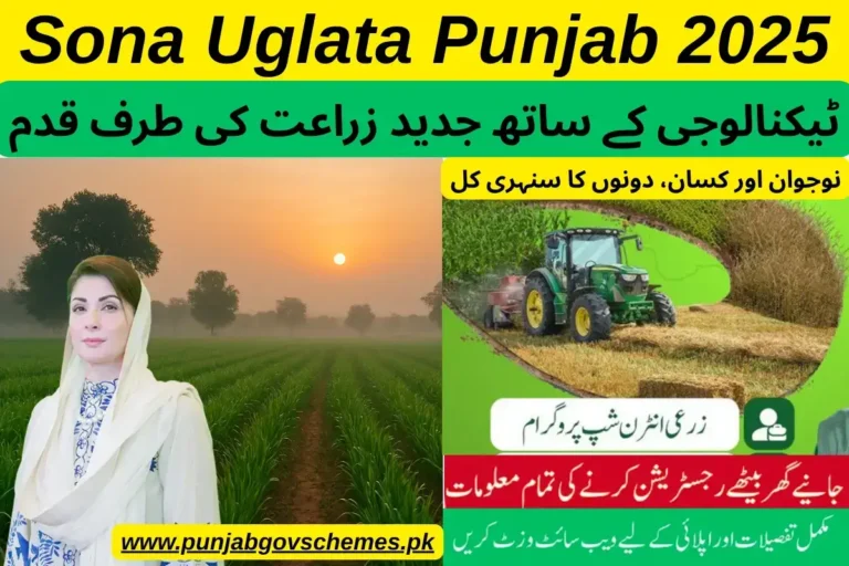 Punjab Rozgar Scheme 2025 A Comprehensive Guide