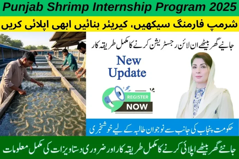 CM Punjab Tourism Internship Program 2025