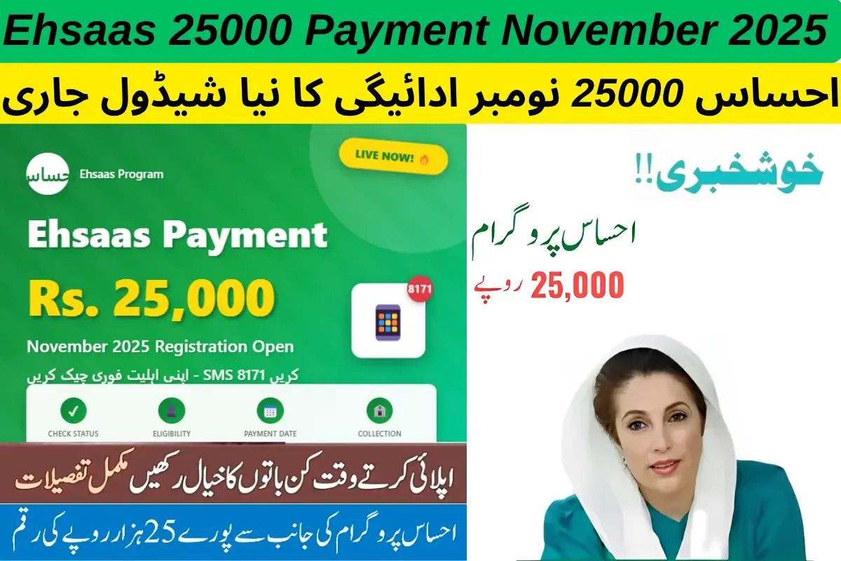 Powerful Relief Ehsaas 25000 Payment November 2025